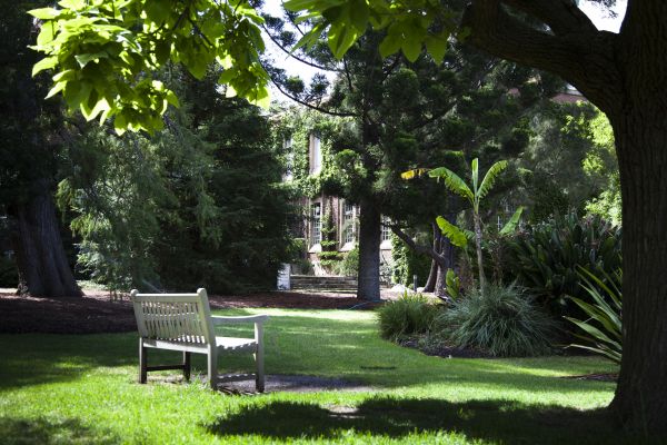 Arts Campus Garden Tour