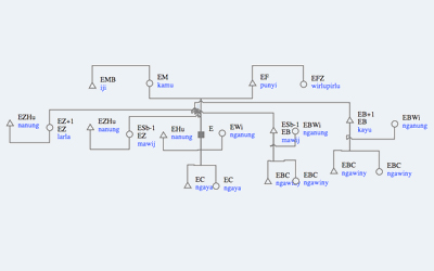 Genealogies of Warruwi Community: integrating current materials