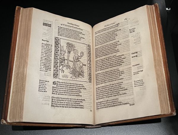 THE RENAISSANCE BOOK